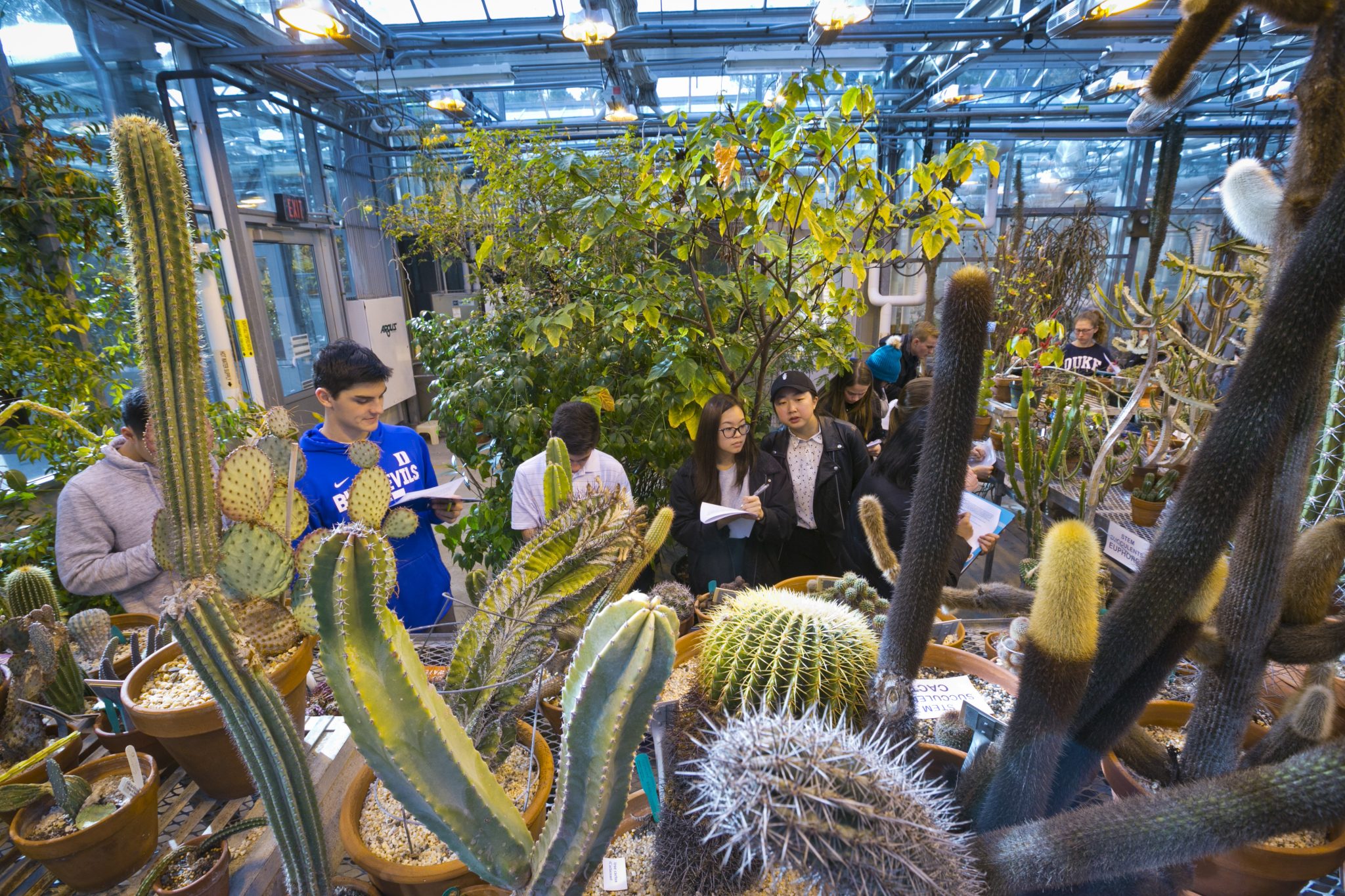 Research - Duke University