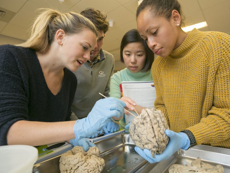 Research - Duke University
